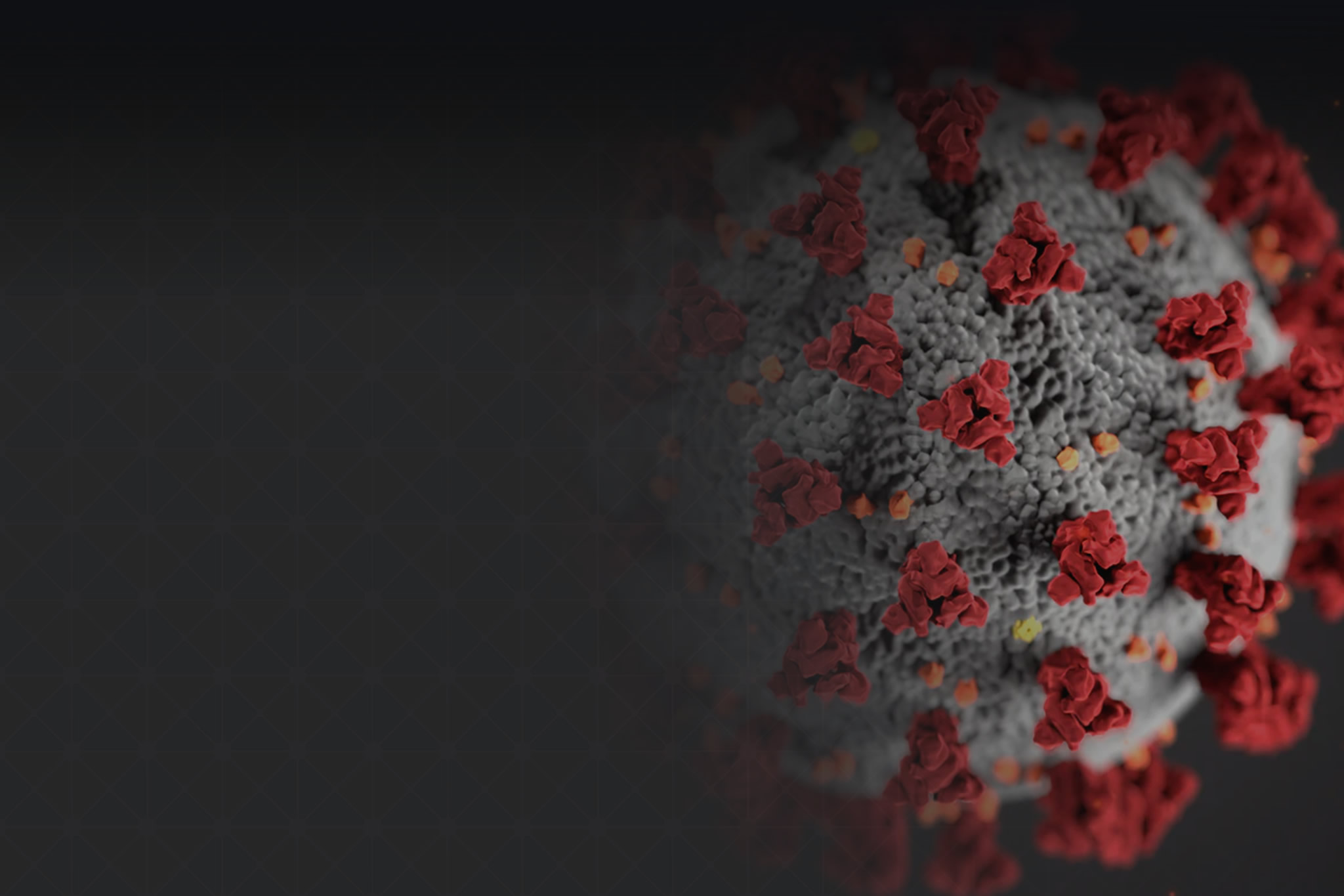 CINCATARINA - Consórcio Interfederativo Santa Catarina